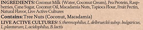 siggi's Plant-Based Coconut Blend, Raspberry, 5.3 oz. Cup โ Single Serving Dairy Free Snack, More Protein Than Sugar