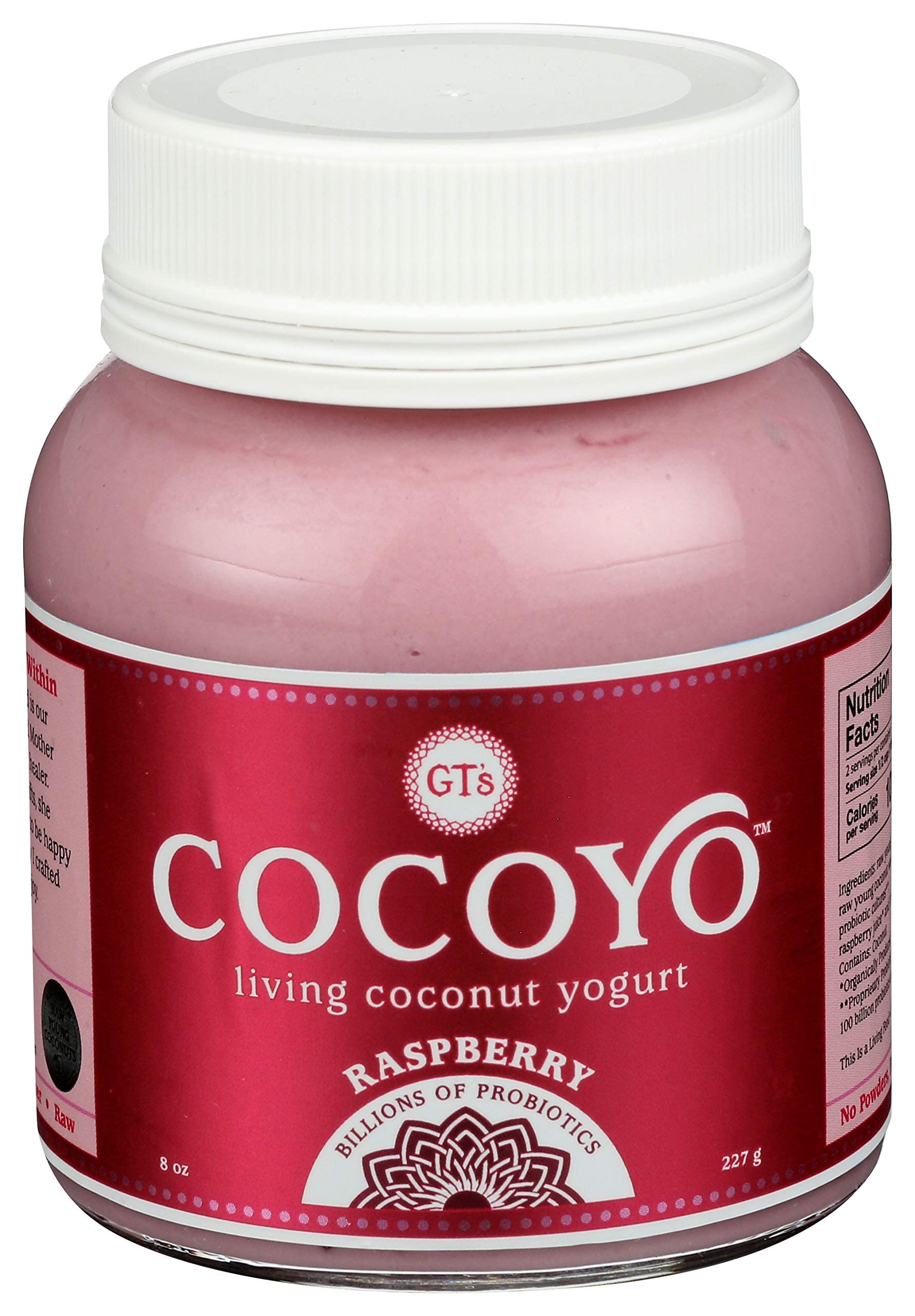 GTS LIVING FOODS Organic Raspberry Coconut Yogurt, 8 OZ