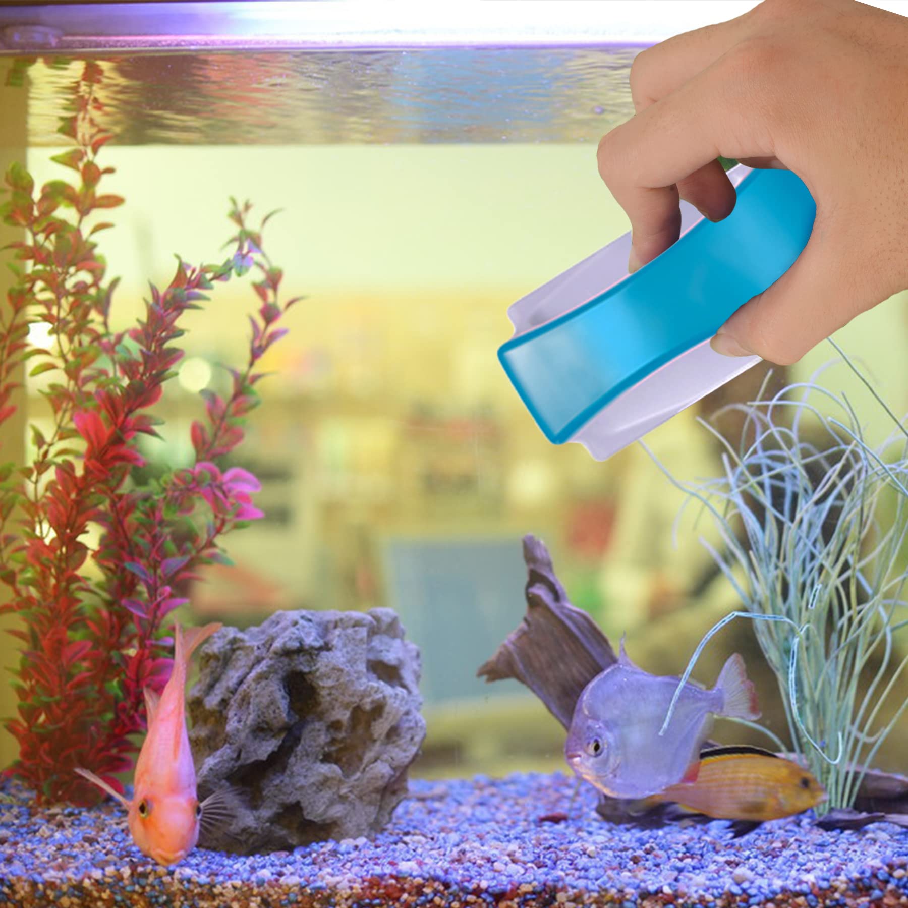 NEPTONION Magnetic Aquarium Fish Tank Glass Algae scrapers Glass Cleaner Scrubber Clean Brush [Floating,Scratch-Free,Non-Slip,magnetizing] S