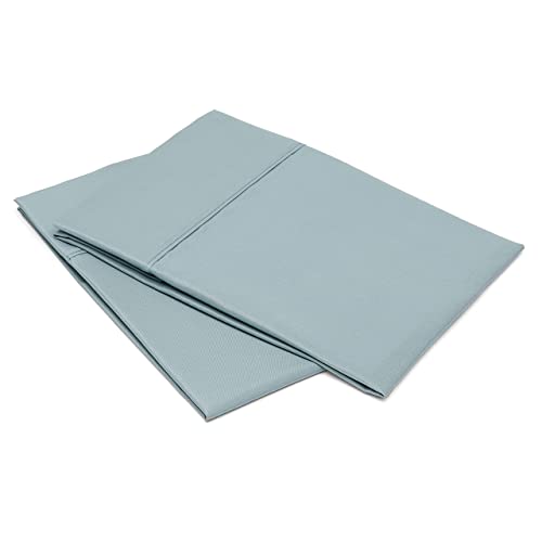 Amazon Basics Standard Pillow Cases Set of 2 - Lightweight, Super Soft Easy Care Microfiber, Spa Blue, 30" L x 20" W, Pillows Not Included