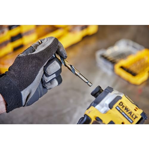 Dewalt DT70702 40 Piece Impact Screwdriver Bit Set + Tough Case Fits TStak Caddy, Black