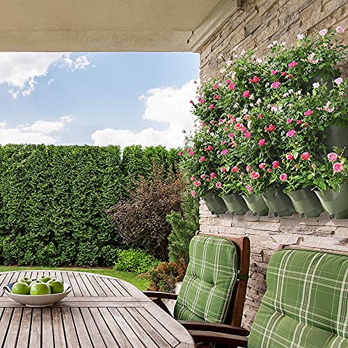 Worth Garden 36 Pockets Self Watering Vertical Planters Indoor Outdoor Living Wall Mounted - 9' Automatic Dripping Irrigation System Hose Kit Stackable Plastic Pot Herb Plants Home Balcony Decoration