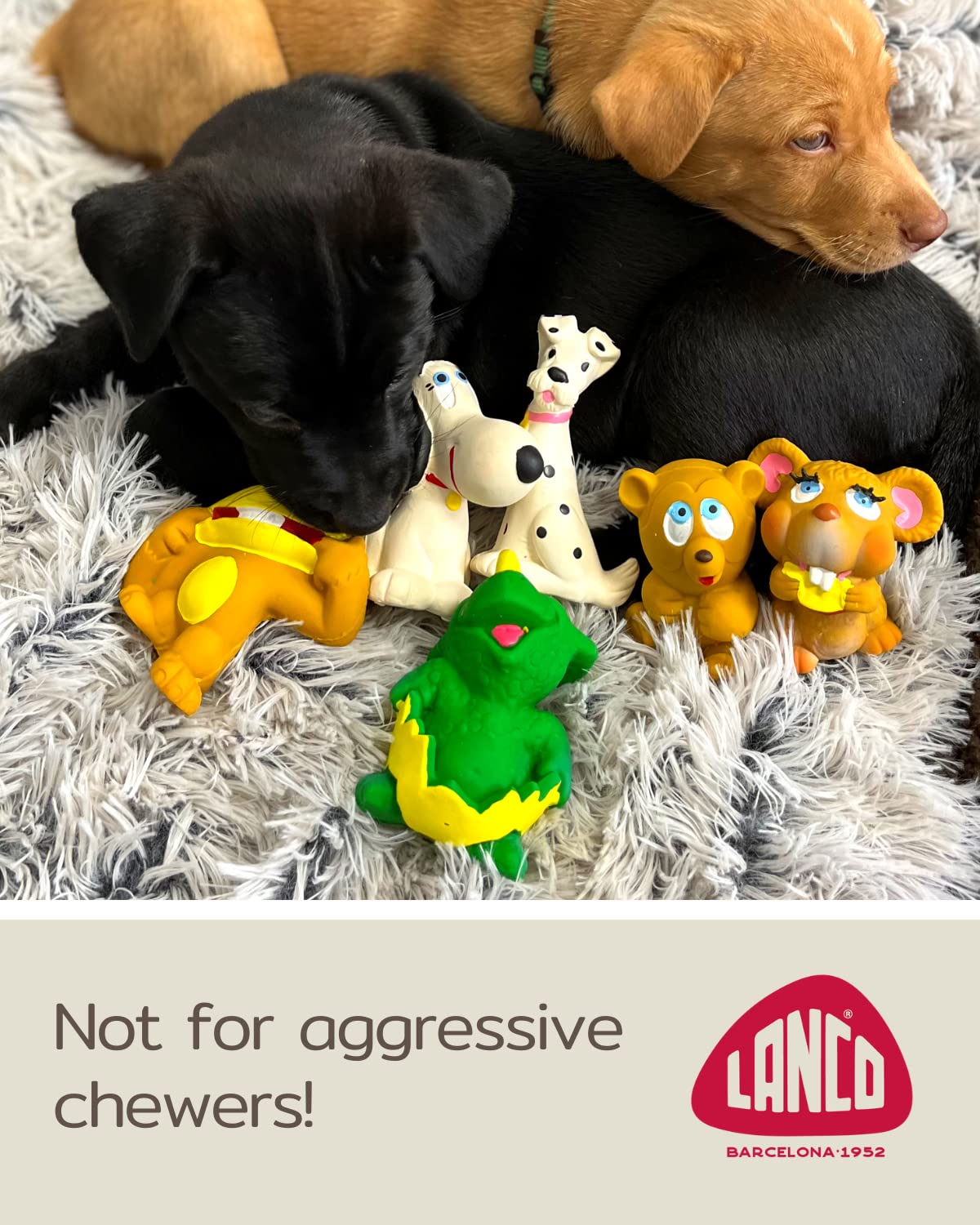 Set 5 Extra Small Squeaky Toys for Dogs Small Breeds Puppy Tiny Dogs Natural Rubber (Latex) Freem from Harmful Chemicals Hanpainted (Toys May Vary)