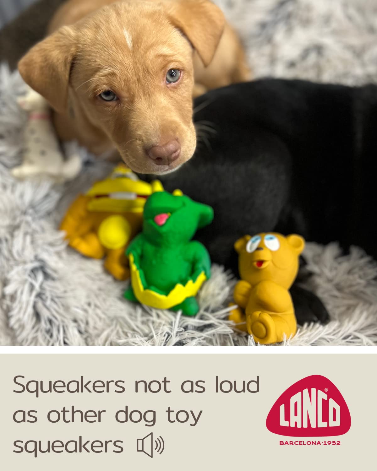 Set 5 Extra Small Squeaky Toys for Dogs Small Breeds Puppy Tiny Dogs Natural Rubber (Latex) Freem from Harmful Chemicals Hanpainted (Toys May Vary)