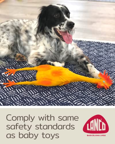 Rubber Chicken Dog Toys - Natural Rubber (Latex) - Lead-Free Chemical-Free - Handpainted - Soft Unstuffed Squeaky (X Large)