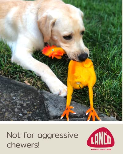 Rubber Chicken Dog Toys - Natural Rubber (Latex) - Lead-Free Chemical-Free - Handpainted - Soft Unstuffed Squeaky (X Large)