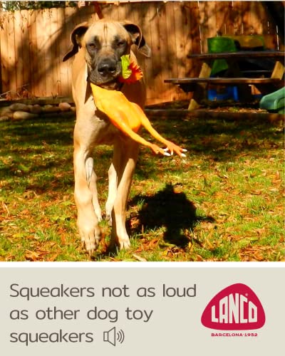 Rubber Chicken Dog Toys - Natural Rubber (Latex) - Lead-Free Chemical-Free - Handpainted - Soft Unstuffed Squeaky (X Large)