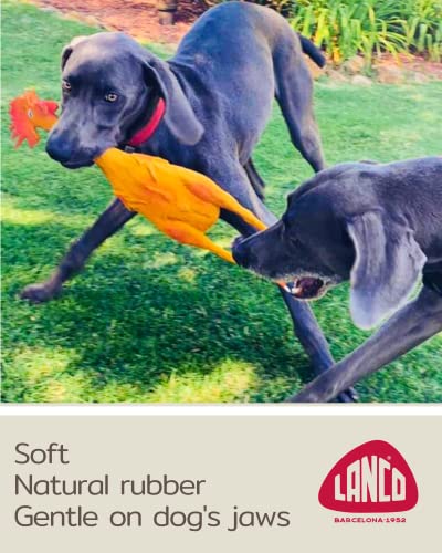 Rubber Chicken Dog Toys - Natural Rubber (Latex) - Lead-Free Chemical-Free - Handpainted - Soft Unstuffed Squeaky (X Large)