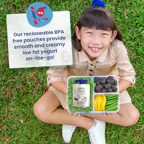 GoGo squeeZ yogurtZ Variety Pack, Berry, Blueberry, 3 oz. (10 Pouches) - Kids Snacks Made from Real Yogurt & Fruit - Pantry Friendly Snack, No Fridge Needed - No Preservatives - Kosher Certified - Gluten Free Snacks for Kids