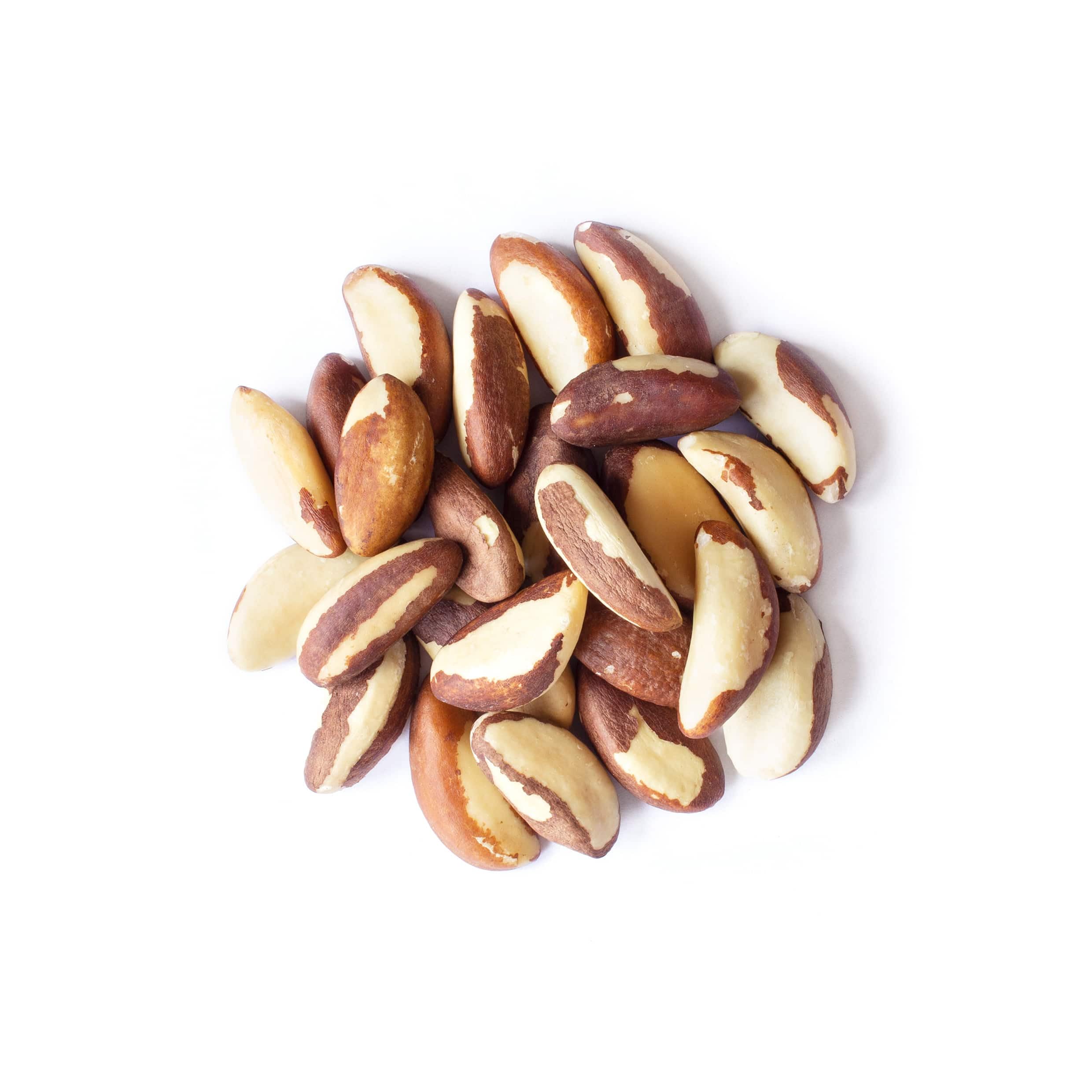 Food to Live - Organic Brazil Nuts, 1 Pound – Non-GMO, Raw, Whole, No Shell, Unsalted, Kosher, Vegan, Keto, Paleo Friendly, Bulk, Rich in Selenium
