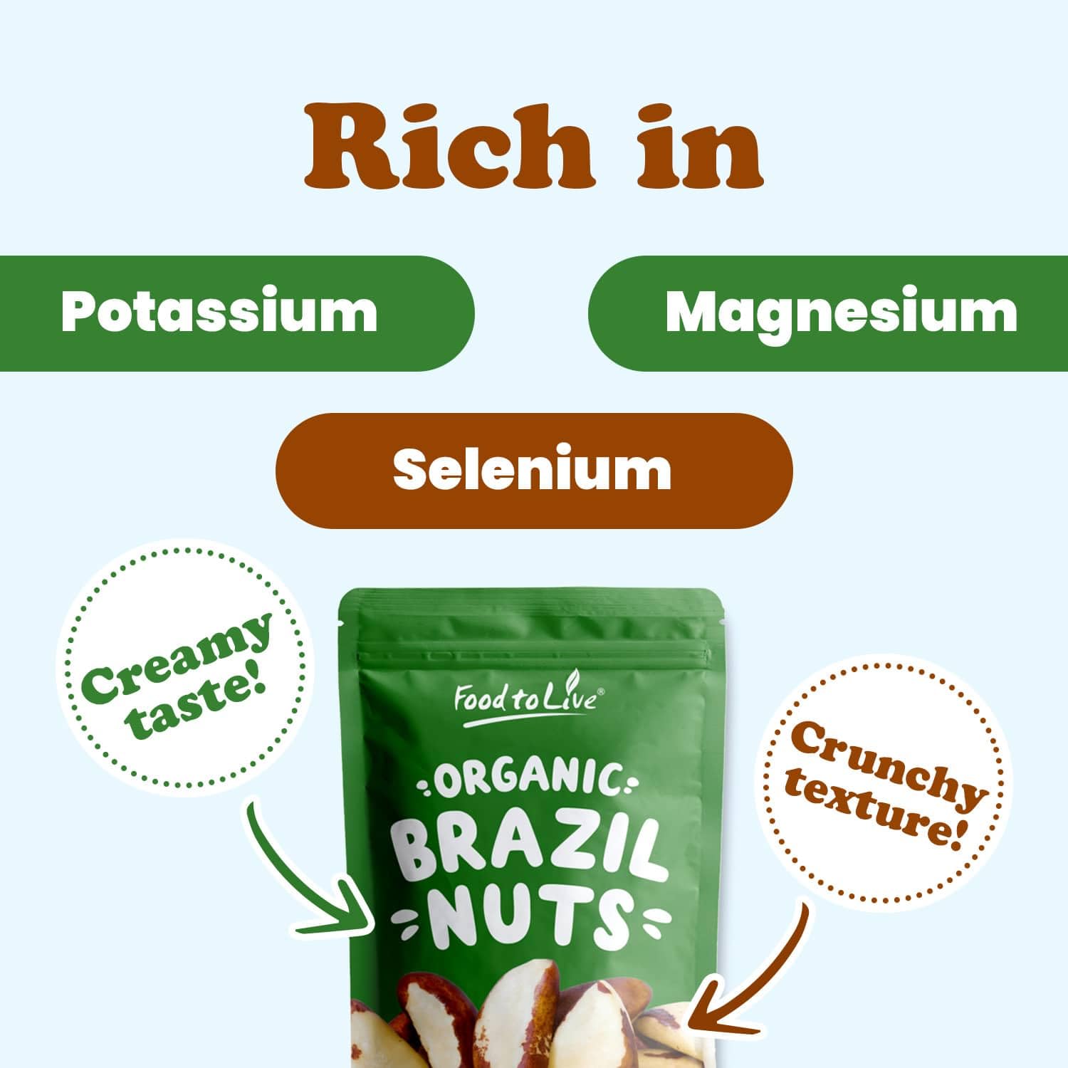 Food to Live - Organic Brazil Nuts, 1 Pound – Non-GMO, Raw, Whole, No Shell, Unsalted, Kosher, Vegan, Keto, Paleo Friendly, Bulk, Rich in Selenium