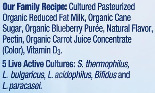 Stonyfield Organic Kids Blueberry Lowfat Yogurt, 3.5 oz. Pouch, Single Serve – Includes Live Active Cultures
