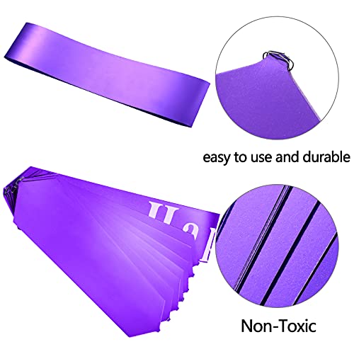Happy Birthday Car Bow Big Car Ribbon Bow Large Gift Wrapping Bow Giant Bow for Car Decorative Huge Pull Bow for Christmas Party Birthday Car Decoration (Purple,20 Inches)