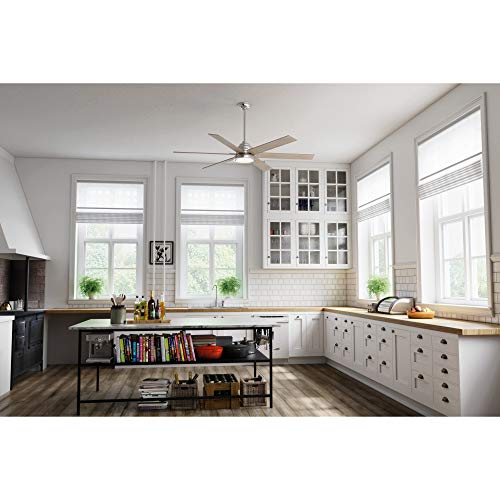 Hunter Fan Company 59398 Warrant Ceiling Fan, Brushed Nickel Finish