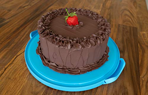 Red Co. 11 inch Cake & Cupcake Muffin Carrier Holder with Collapsible Handles, Blue Tray/Clear Lid