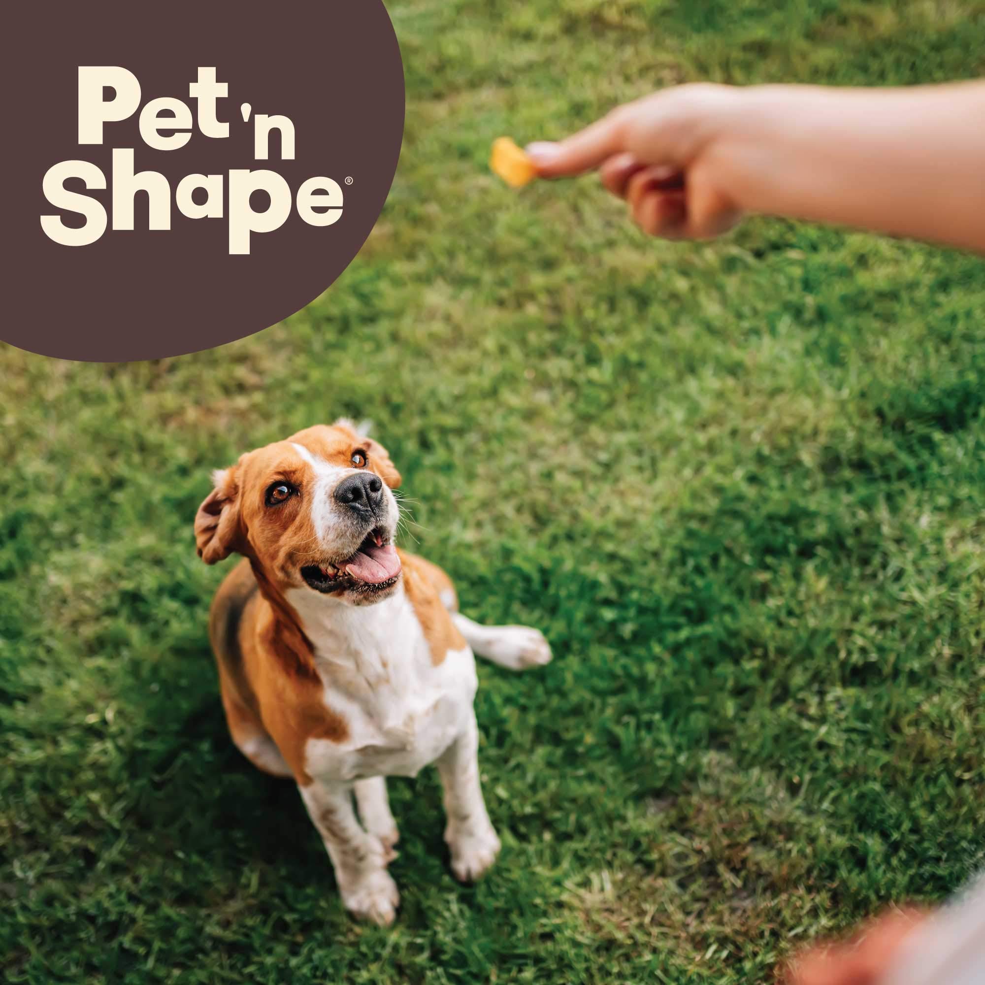 Pet 'n Shape Duck Breast Jerky Dog Treats - 16 Ounce