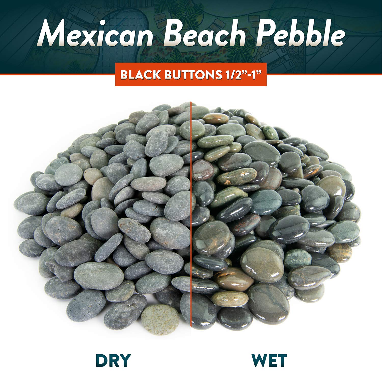 Mexican Beach Pebbles | 20 Pounds of Smooth Unpolished Stones | Hand-Picked, Premium Pebbles for Garden and Landscape Design | Black Buttons, 1/2 Inch - 1 Inch