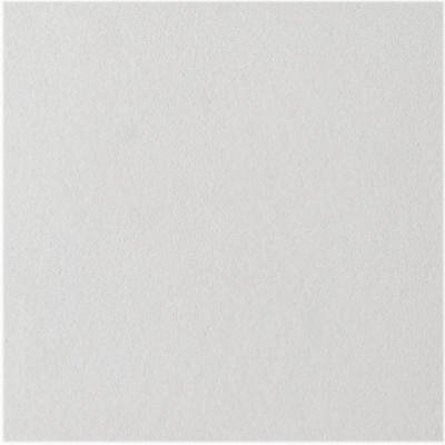 CEILING TILE 1X1' by USG MfrPartNo 824290