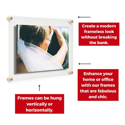 COOL MODERN FRAMES 16x20" Clear Double Panel Floating Acrylic Picture Frame Display with Gold Hardware for Displaying Art and Photos on Wall
