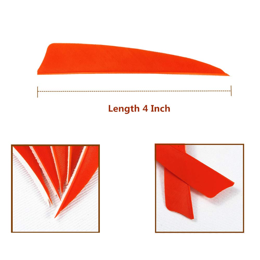 Archery Fletchings Real Turkey Shield Feathers 4 Inch Full Length 50 Pack Glued Right Wing for Arrow DIY (Orange)