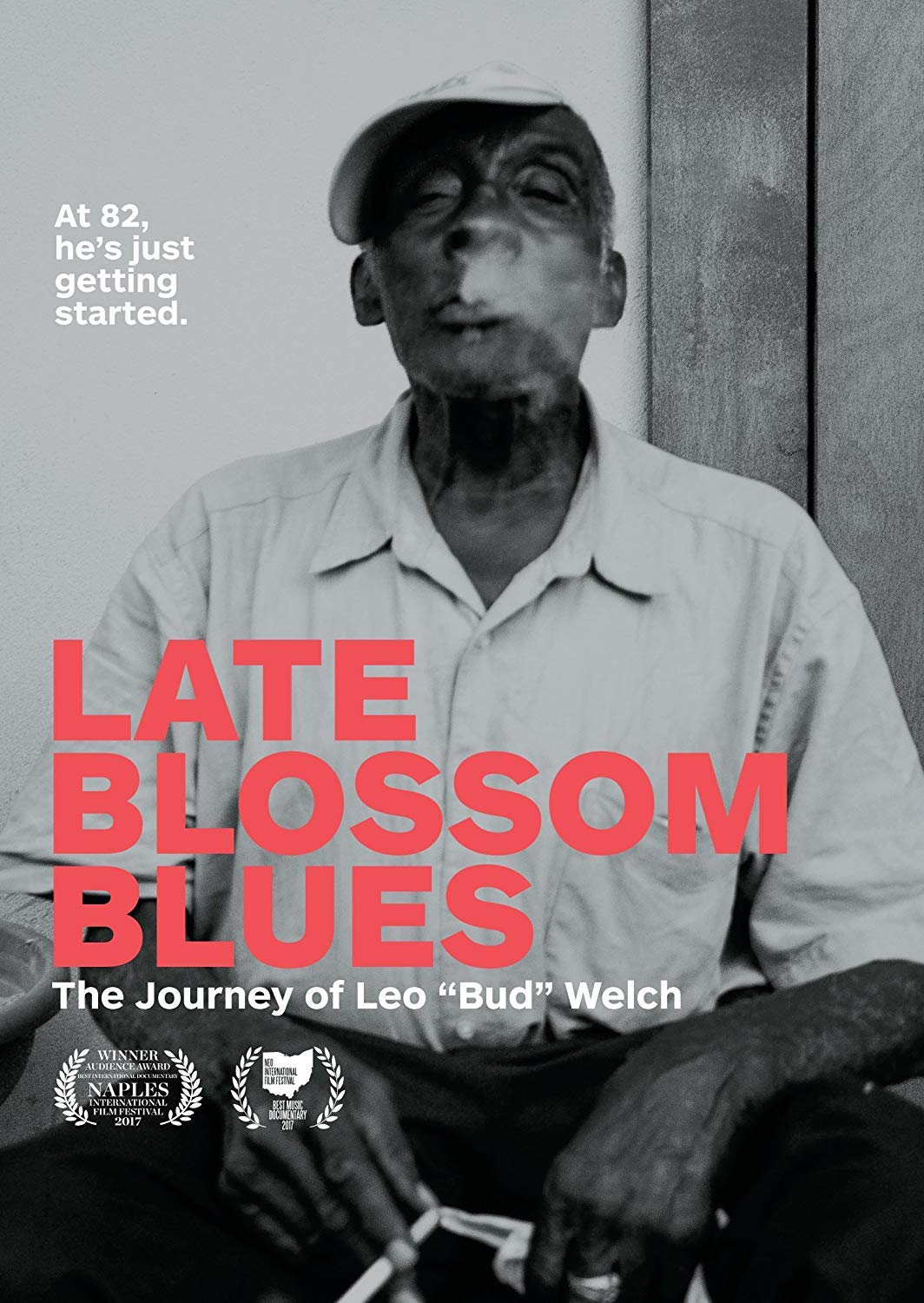Late Blossom Blues: Journey Of Leo Bud Welch