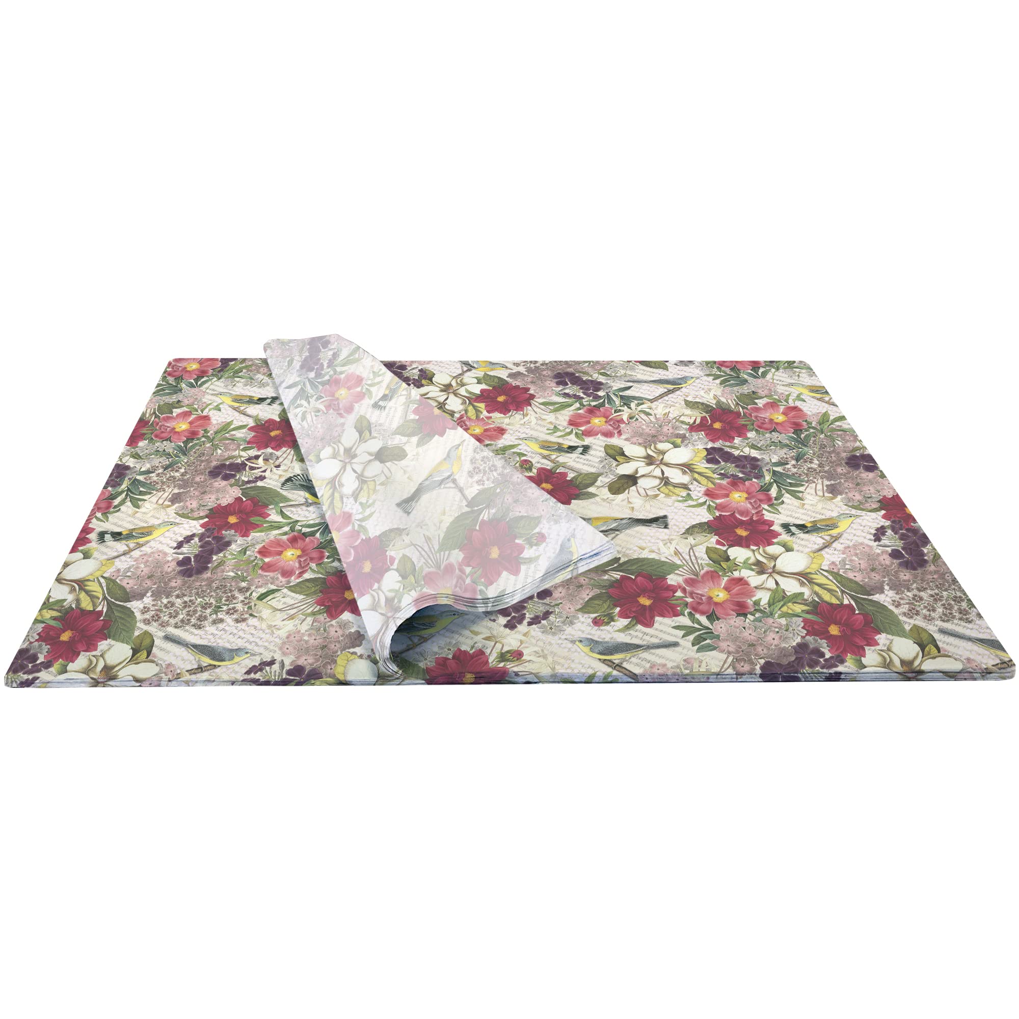 Jillson Roberts Bulk 240 Sheet-Count 20 x 30 Premium Printed Tissue Paper Available in 12 Designs, Botanic