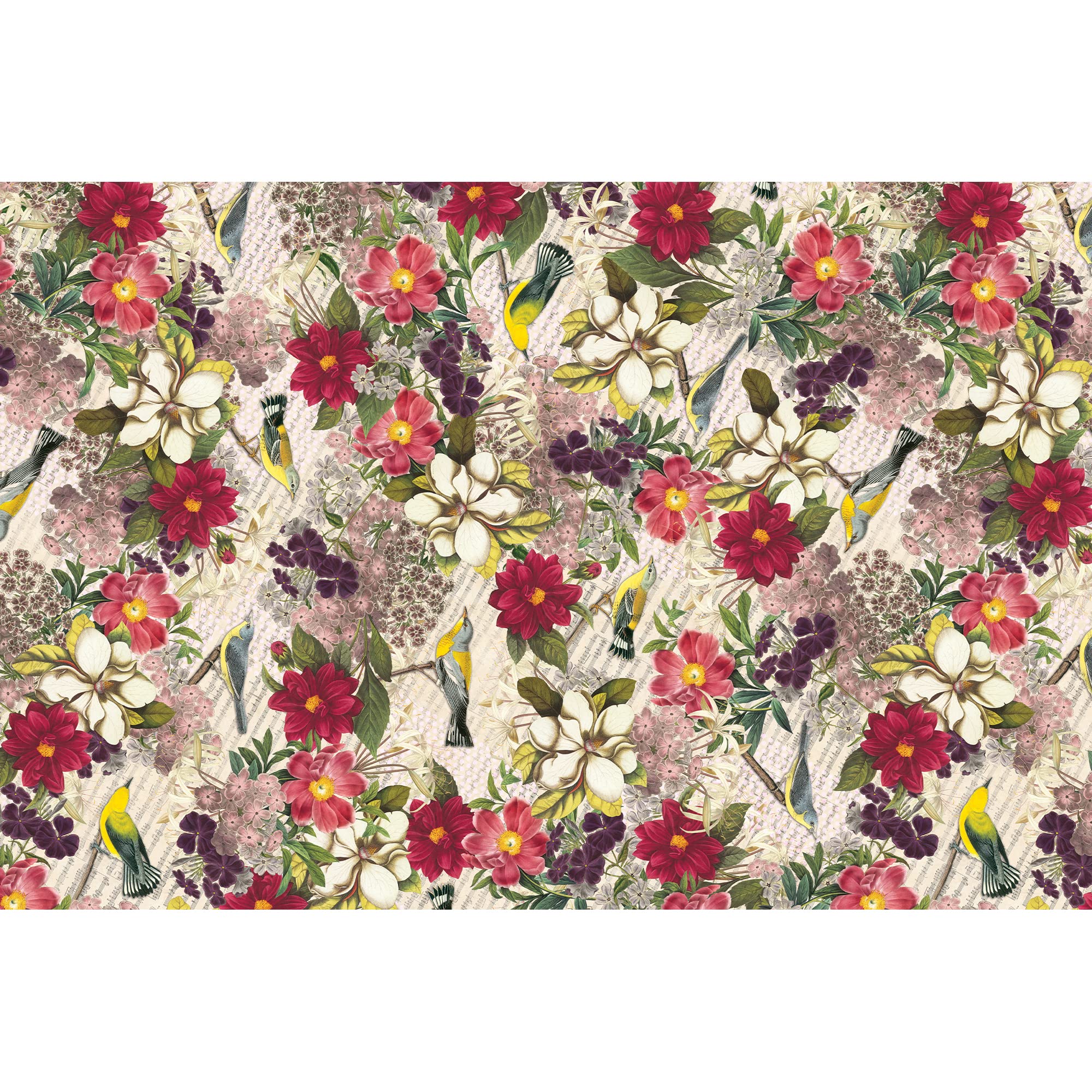 Jillson Roberts Bulk 240 Sheet-Count 20 x 30 Premium Printed Tissue Paper Available in 12 Designs, Botanic