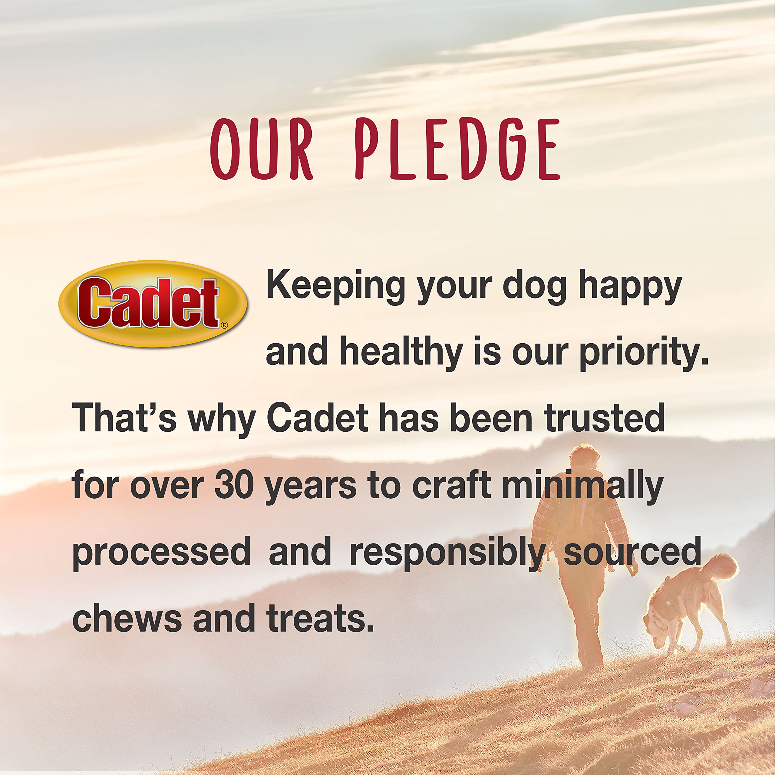 Cadet Gourmet Beef Hide Twist Chew Sticks, Long Lasting & Natural Chew Treats for Dogs, Inspected & Tested in USA, Duck Flavor (50 Count)