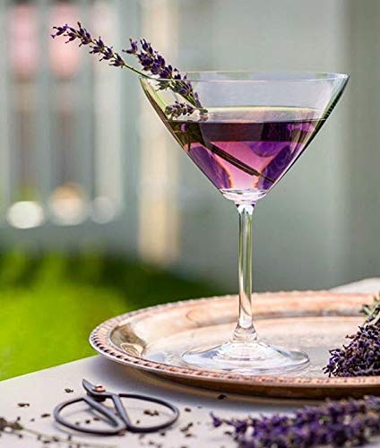 Scrappy's Bitters - Lavender, 5 oz - Organic Ingredients, Finest Herbs & Zests, No Extracts, Artificial Flavors, Chemicals or Dyes. Made in the USA! (Pack of 2)