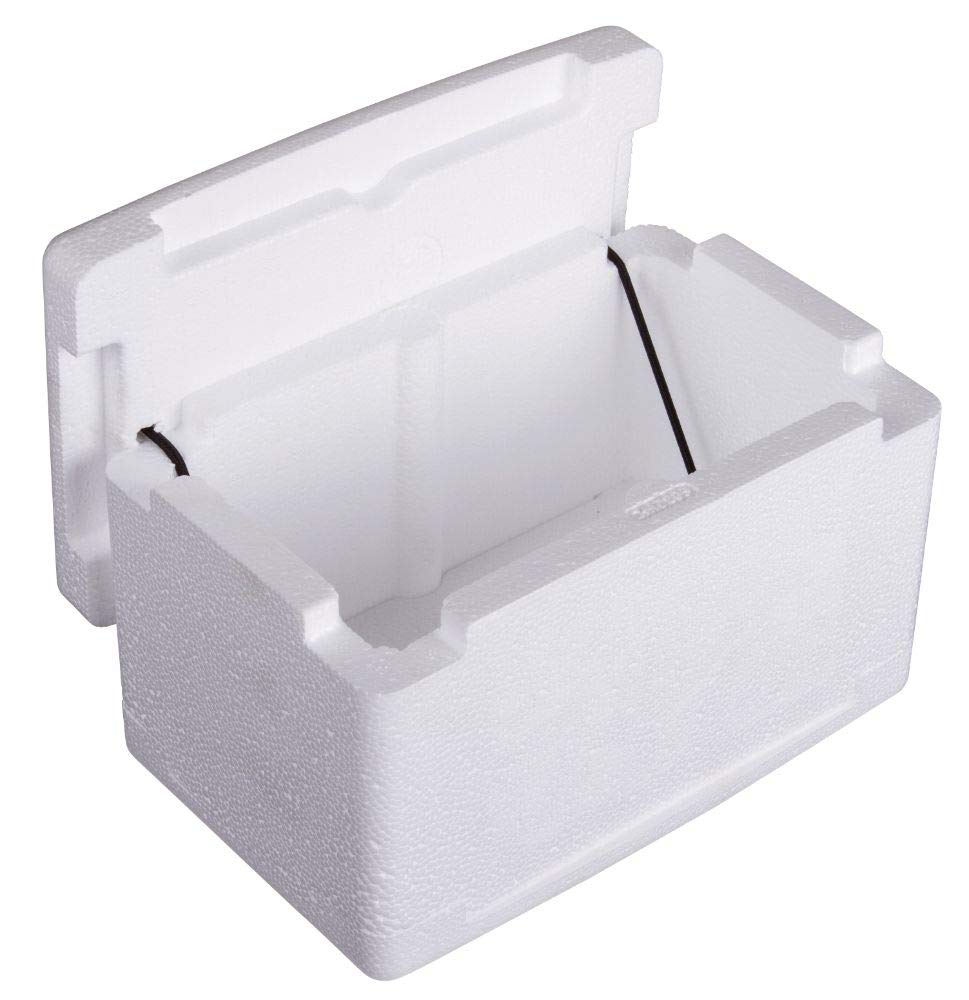 Flambeau Outdoors 6032WC Double Opening Foam Fishing Cooler, Styrofoam Live Bait Carrier with Bungee, White