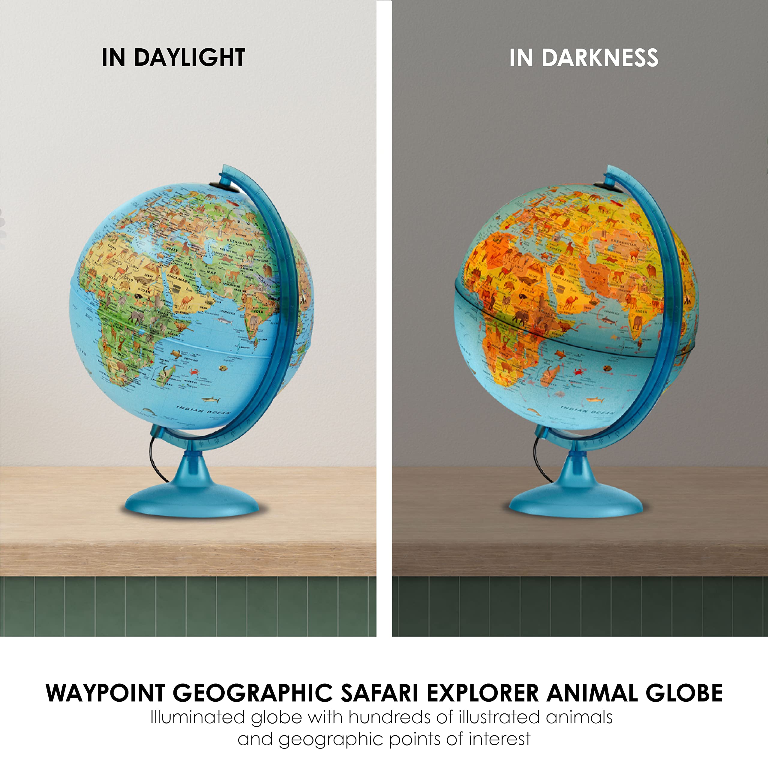 Waypoint Geographic Safari Explorer Animals Globe, World Globe, Illuminated Desktop Globe with Blue Physical Earth and 100s of Illustrated Animals