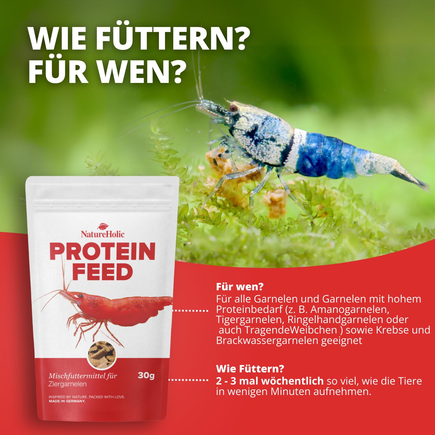 NatureHolic Proteinfeed, Shrimp Food, Protein Food, Made in Germany, Free from Fish Meal & Low-Quality Animal Meals, for Enhanced Shrimp Breeding & Growth
