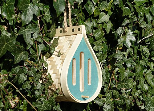 Wildlife World Dew Drop Butterfly House Garden Habitat - Wooden Nest for Bugs, Butterflies, Moths & Lacewings