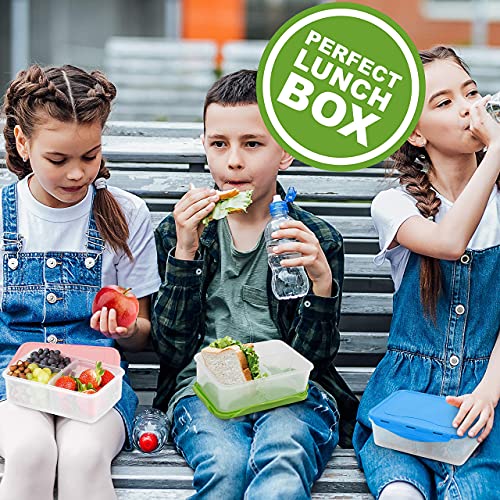 By Caleb Company 3 Pack Green Bento Boxes - 39 Ounce Divided Food Storage Containers With Lids - Leakproof, BPA Free Bento Lunch Box for Adults & Kids Lunches Is Safe For Dishwasher & Microwave