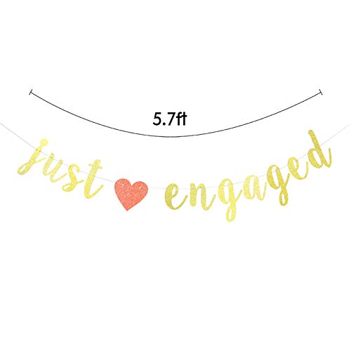 Just Engaged Banner,Engagement Party Decor,Bachelorette/Wedding/Engagement/Bridal Shower Party Decorations (Gold)
