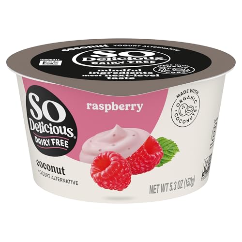So Delicious Dairy Free Coconut Milk Yogurt Alternative, Raspberry, Vegan, Non-GMO Project Verified, 5.3 oz.