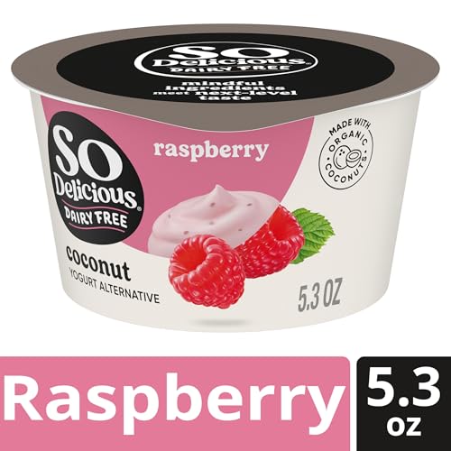 So Delicious Dairy Free Coconut Milk Yogurt Alternative, Raspberry, Vegan, Non-GMO Project Verified, 5.3 oz.