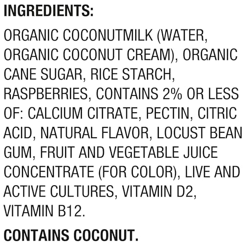 So Delicious Dairy Free Coconut Milk Yogurt Alternative, Raspberry, Vegan, Non-GMO Project Verified, 5.3 oz.
