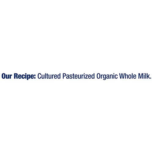 Stonyfield Organic Greek Whole Milk Yogurt, Plain, High in Protein (16g), Multiserving Snack & Cooking Substitute, 30 Oz