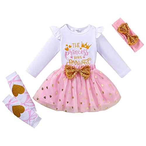 XIFAMNIY Baby Girls Princess Embroidery Pink Infant Newborn 3PCs Bodysuit Dress Tutu Skirt Coming Home Outfit Set for Fall and Spring