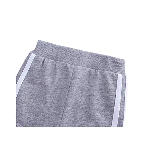 Baby Boy Girl Hoodie Tracksuit Zipper Jacket Outfits Set Gray