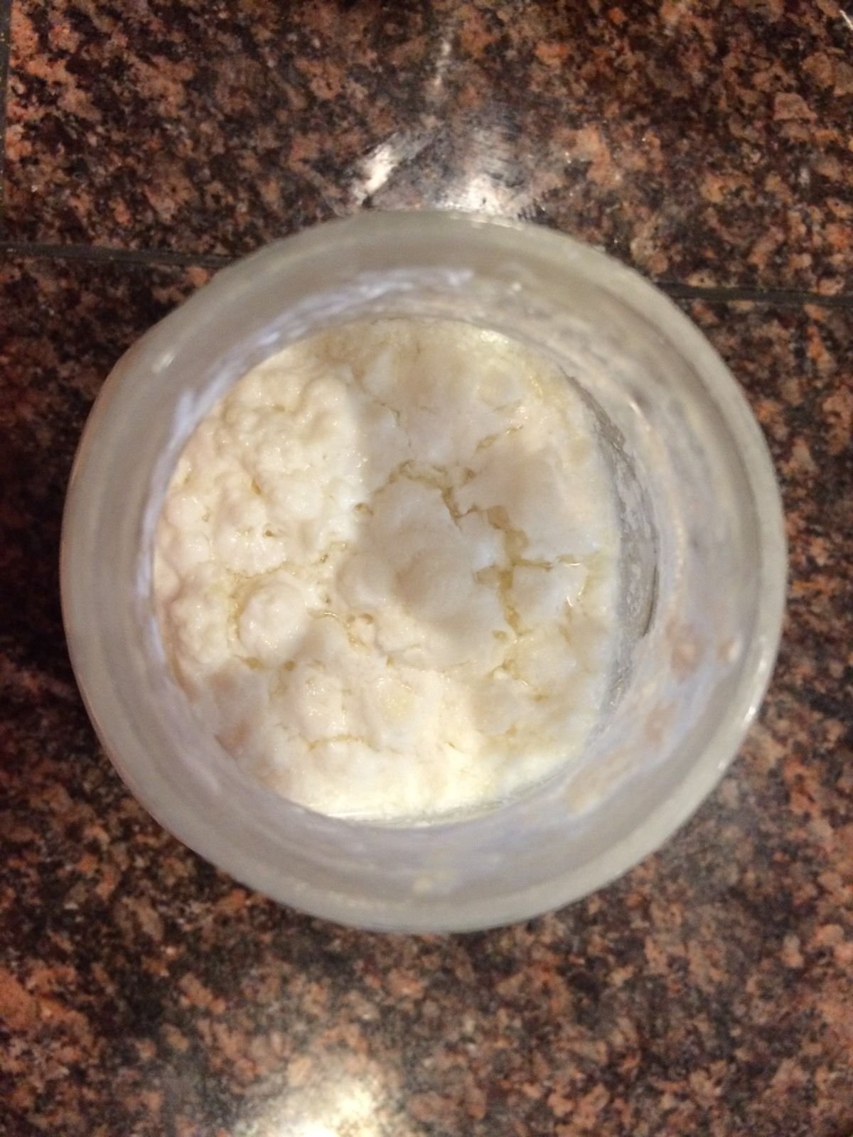 Tibetan Kefir Grains Mushrooms Bulgaros Pajaritos Probiotic Healthy Diet Natural