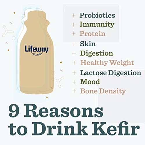 Lifeway Organic Whole Milk Kefir - 10g Protein, 12 Live Active Probiotic Cultures, Up to 99% Lactose Free, Gluten Free - Plain, 32 oz