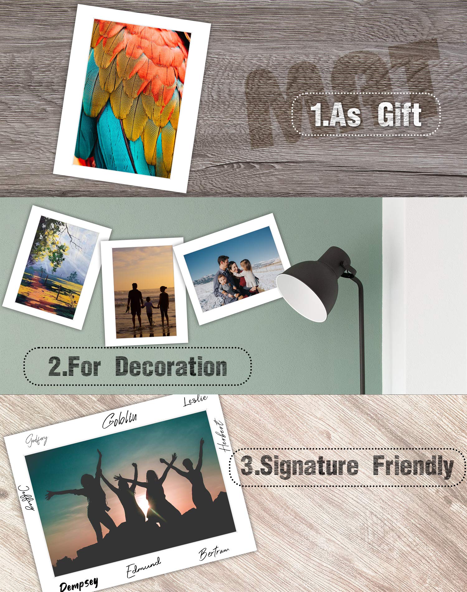 50 set of 11x14 White Photo Mats for 8x12 + backing + bags