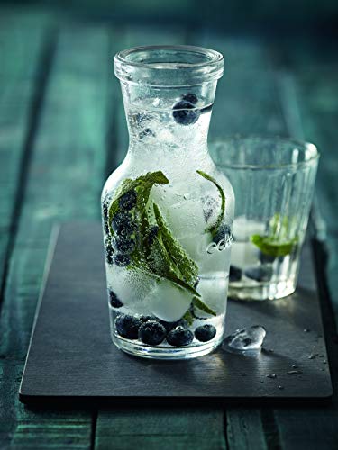 Luigi Bormioli Lock-Eat 17 oz Juice Jar (Set Of 6) : Innovative Glass Lid, Easy to Close, Easy to Open, Dishwasher Safe, Microwave Safe, Canning Safe, Freezer Safe, Stackable Jars
