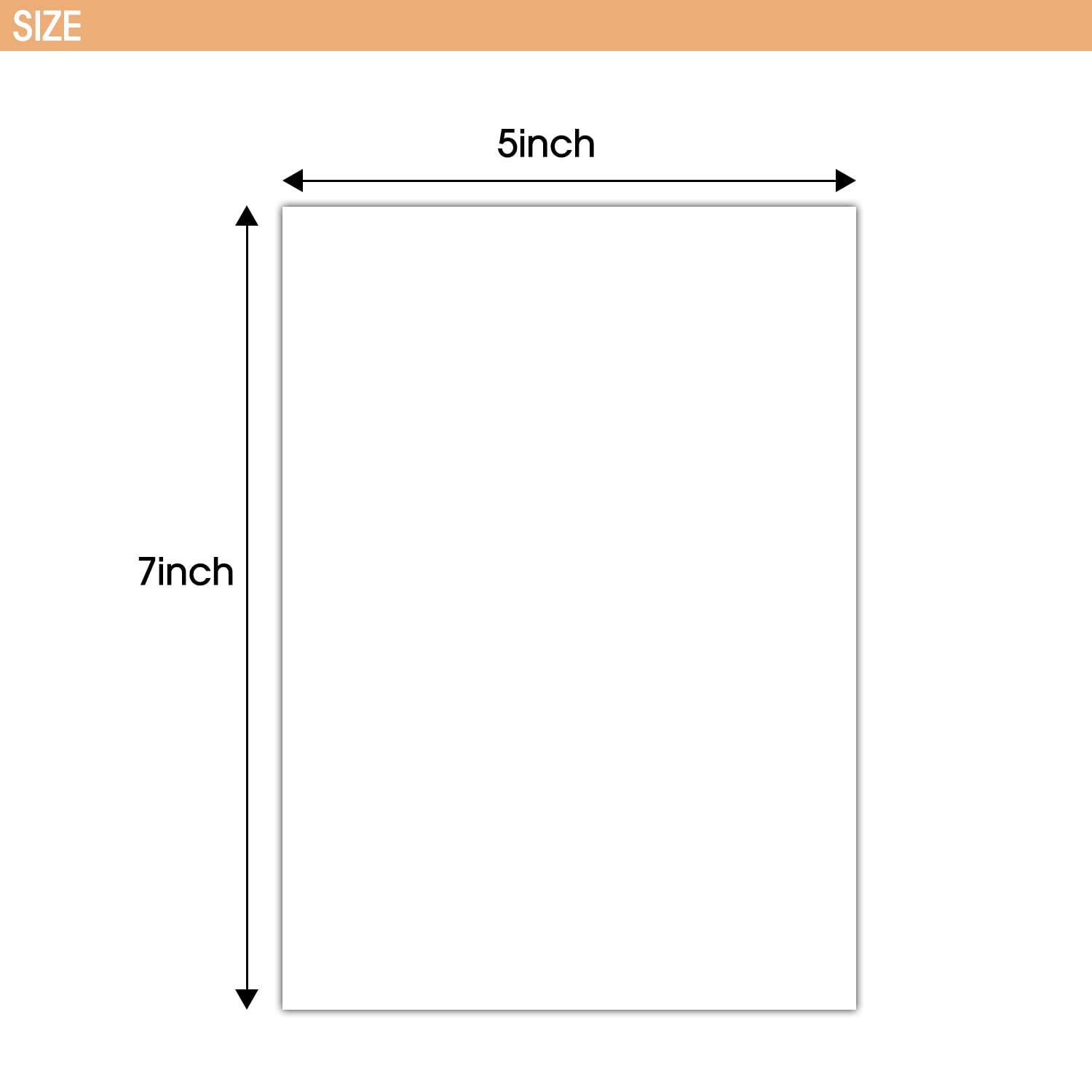 Golden State Art, 5x7 Backing Board Only - for Art, Photos, Print - 4-Ply - 50 Single Backing Boards (50 Pack)