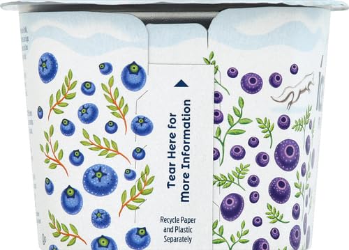 Icelandic Provisions, Wild Blueberry and Bilberry Thick and Creamy SKYR, 5.3 Ounce