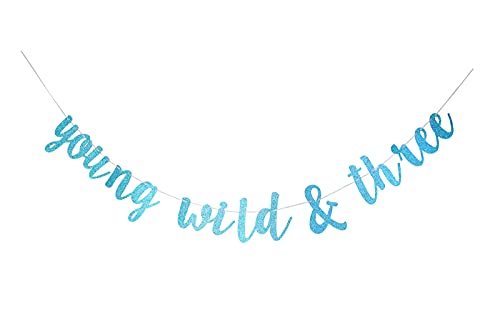 Young Wild and Three Banner -Blue Glitter Happy 3rd Birthday Party Decoration Bunting Photo Props,Children's Birthday Party Supplies