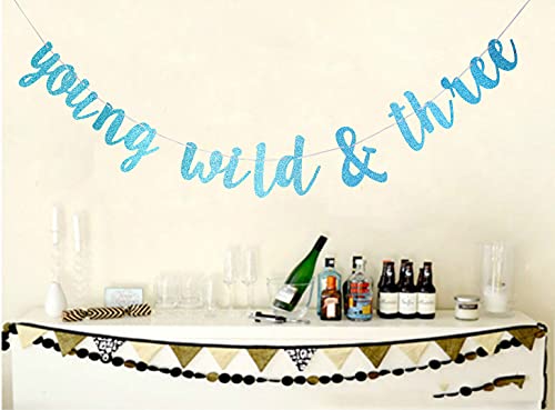 Young Wild and Three Banner -Blue Glitter Happy 3rd Birthday Party Decoration Bunting Photo Props,Children's Birthday Party Supplies