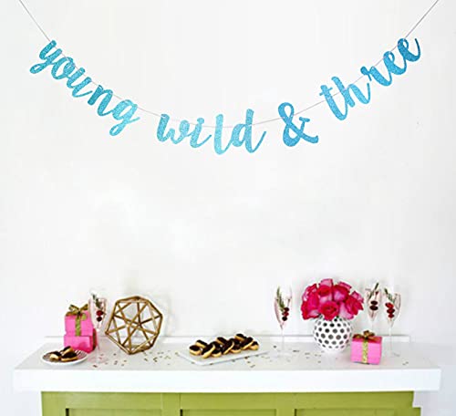 Young Wild and Three Banner -Blue Glitter Happy 3rd Birthday Party Decoration Bunting Photo Props,Children's Birthday Party Supplies